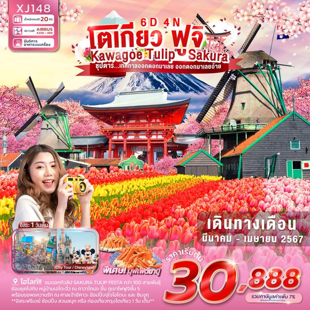 แพ็คเกจทัวร์ ทัวร์ญี่ปุ่น tokyo tour บริษัท ไทยเที่ยวนอกทัวร์ จำกัด ttntour